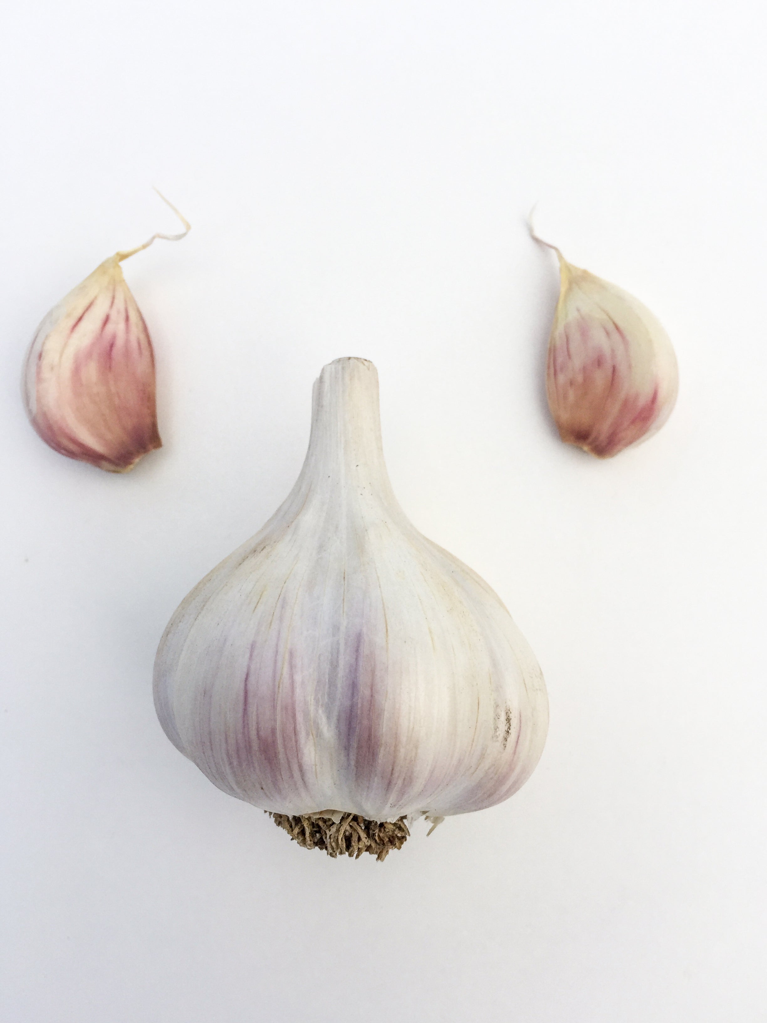 Northern Quebec | BC Garlic Growers Inc.