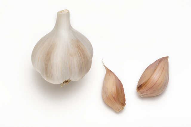 Susan Delafield | BC Garlic Growers Inc.